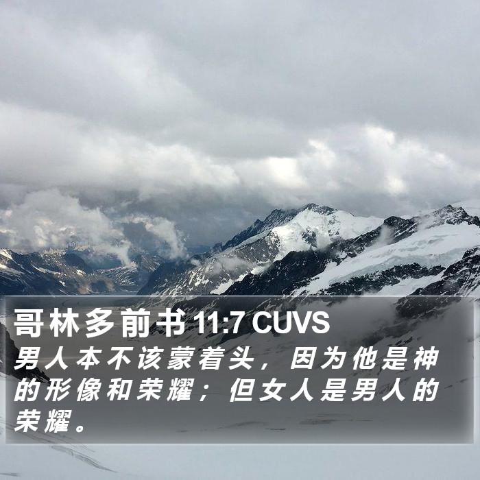 哥 林 多 前 书 11:7 CUVS - 男 人 本 不 该 蒙 着 头 ， 因 为 他
