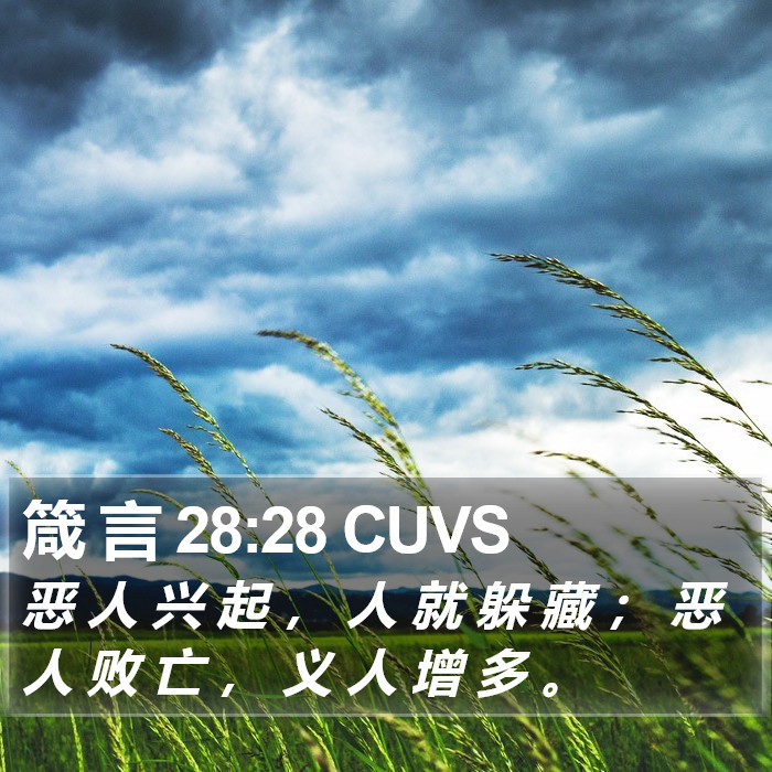 箴 言 28 Bible Images - 箴 言 Chapter 28 CUVS Bible Verse Pictures