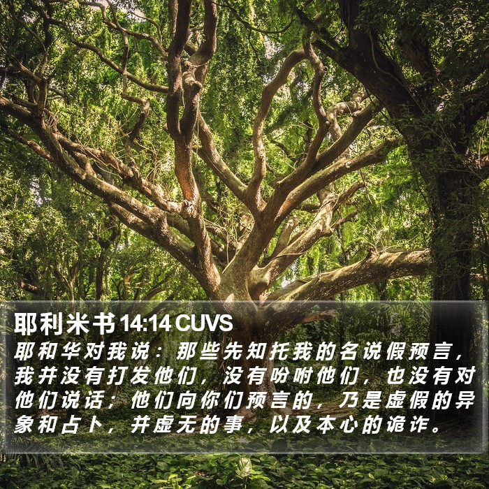 耶 利 米 书 14:14 CUVS - 耶 和 华 对 我 说 ： 那 些 先 知 托